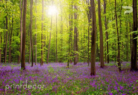 Фототапет Пролетна Гора и цветя с размер 178 см широчина х 123 см височина самозалепващо фолио с