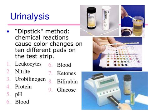 Ppt Lab Activity 32 Powerpoint Presentation Free Download Id813423