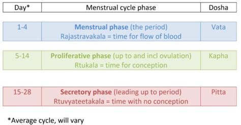Women Love Your Cycle And Men It REALLY Helps To Know The Ayurveda Practice