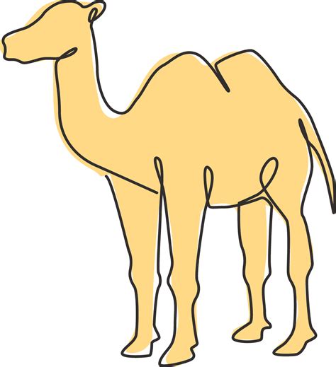 Drawing Lines Pattern For Camel Vector Png Similar Png 50 Off