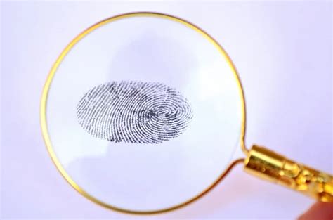 Fingerprint And Magnifying Glass — Stock Vector © Vantuz 69456029