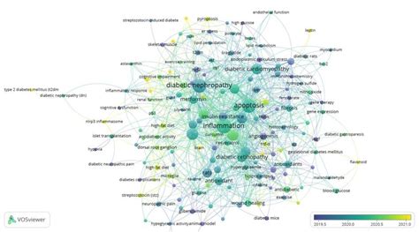 Initial Mapping Of Research Topics With A Co Occurrence Analysis