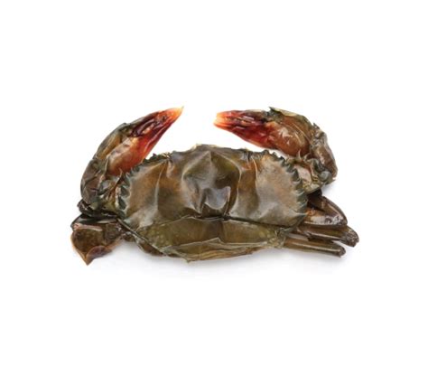 Soft Shell Crab Hifresh