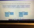 Anatomy Physiology Chapter 1 Flashcards Quizlet