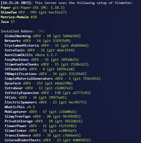 error on console on startup · issue 3429 · slimefun slimefun4 · github