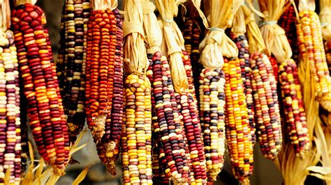 Native American Culture Food