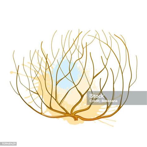 벡터 롤링 사막 공장 흰색 배경에 고립 된 갈색과 베이지색에 텀블 0명에 대한 스톡 벡터 아트 및 기타 이미지 0명 갈색
