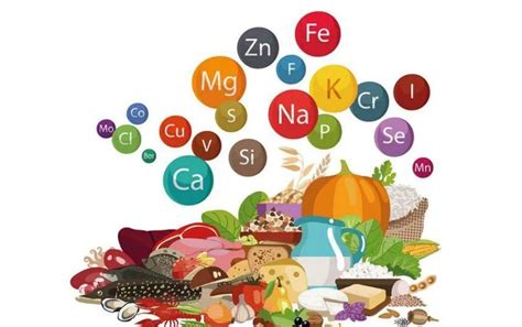 这6种营养素是 坏胆固醇”的 克星”！ 知乎