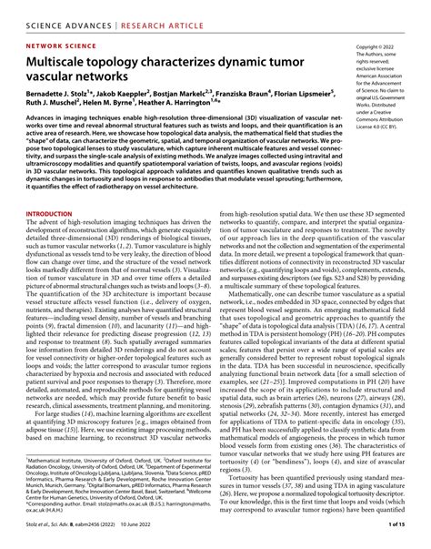 Pdf Multiscale Topology Characterizes Dynamic Tumor Vascular Networks
