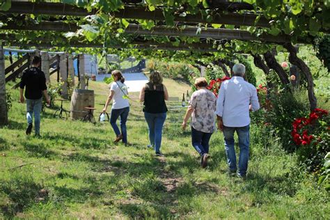 Cantina Granbazán visita guidata e degustazione di vini GetYourGuide