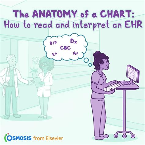 The Anatomy Of A Chart How To Read And Interpret An Ehr Osmosis Blog