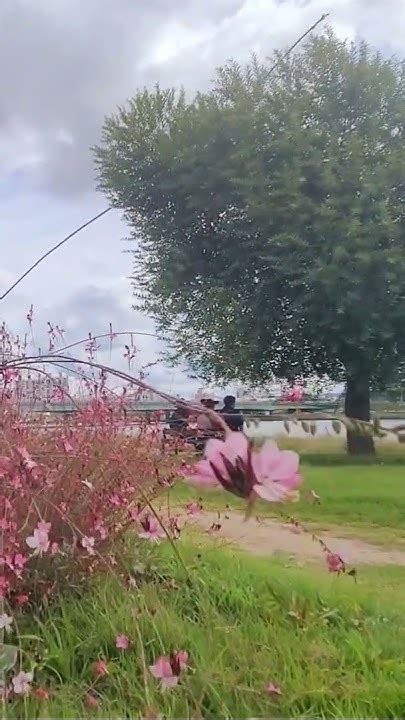 봄봄 살랑살랑 봄의 공원 Youtube