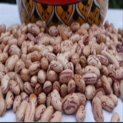 Nourishta Munsyari Rajma Uttarakhand Organic At Rs 190kg In Haldwani