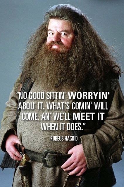 Hagrid Harry Potter Quotes Harry Potter Quotes Inspirational
