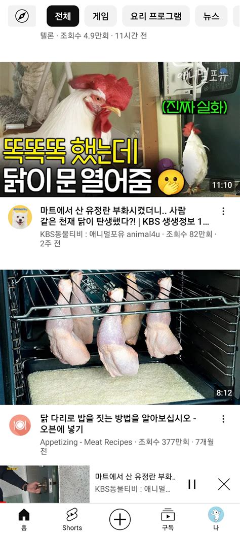 유튜브 알고리즘의 무서움 Battlepage
