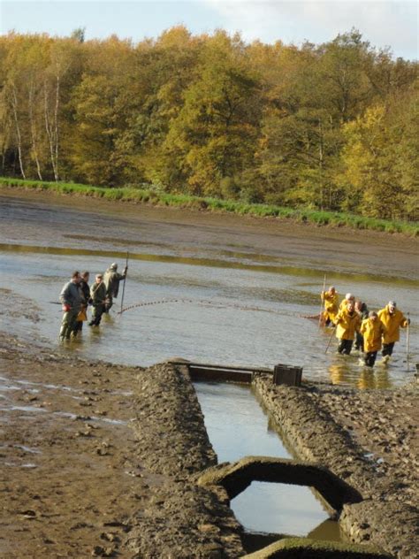 Demigny Pêche Conviviale De Létang Du Grand Beauregard