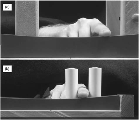 Photographs Illustrating A Active Haptic Curvature Discrimination And Download Scientific
