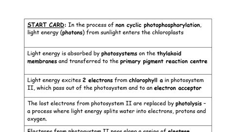 Photosynthesis Light Dependent Reactions Flowchart Process Game
