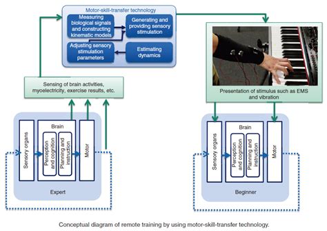 Motor Skill Transfer Technology Ntt Randd Website