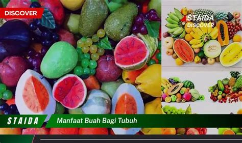 Temukan Manfaat Buah Bagi Tubuh Yang Jarang Diketahui