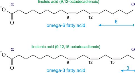 Download Omegafatty