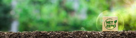 net zero strategy the sme net zero transition — peak governance