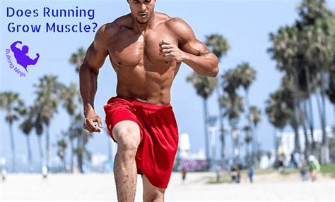 Does Running Grow Muscle Best Exercise Guide For Beginners 2023