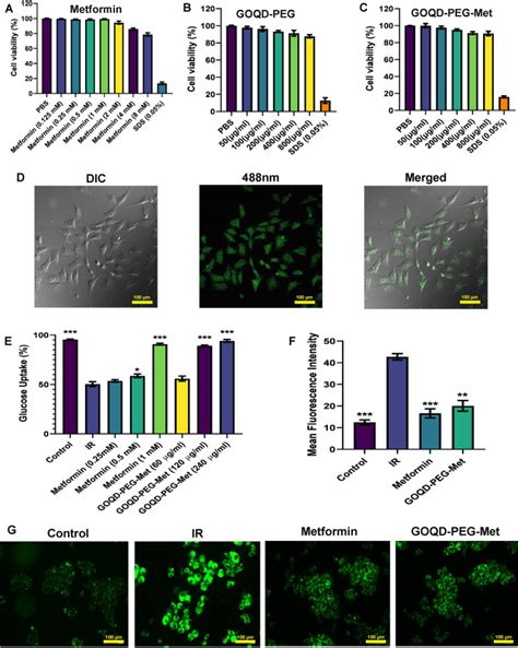 Efficacy Of Pegylated Graphene Oxide Quantum Dots As A Nanoconjugate