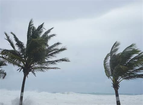 Saldo Blanco En Quintana Roo Tras Paso Del Huracán Beryl Destacadomx