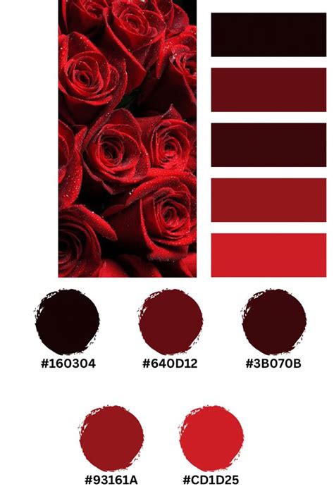 Red Hex Codes For Stunning Color Schemes
