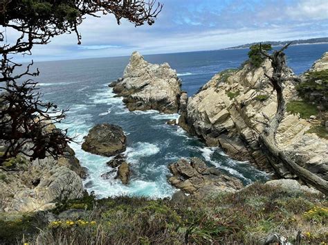 Point Lobos Loop Trail Trails Near Me