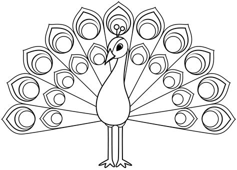 Peacock Pattern Outline