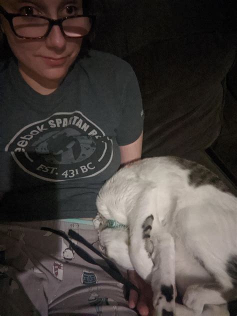 She Loves Burying Her Head During Snuggles Rcuddlykitties