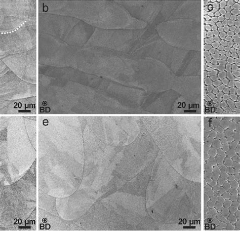 Sem Micrographs Of The Microstructure Along And Normal To The Building