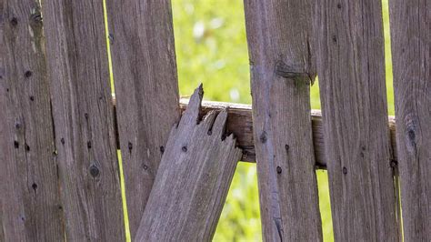 Should You Repair Or Replace Your Fence Angi