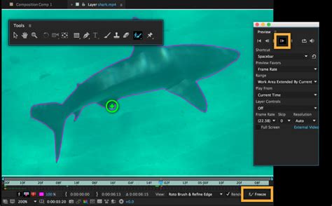 Rotoscope Nature Footage Adobe After Effects Tutorials