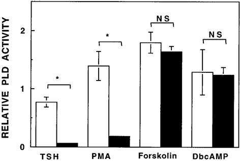 Effects Of Pkc Inhibitor Chelerythrine On Activation Of Pld By Tsh