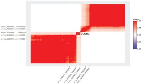 Ccnd1 A Focally Amplified Cell Cycle Regulator Is Located Within A Download Scientific