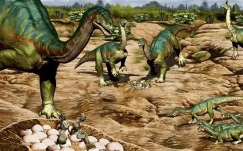 NV Los dinosaurios vivían en manadas según estudio