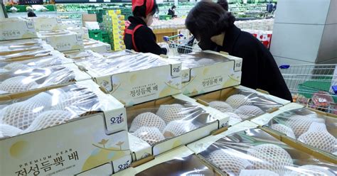 설 앞두고 사과·배 가격 상승
