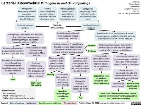 Osteomyelitis Concept Map