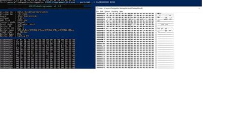 Solved Flashing Elf With Stm32cubeprogrammer Flashes Garb