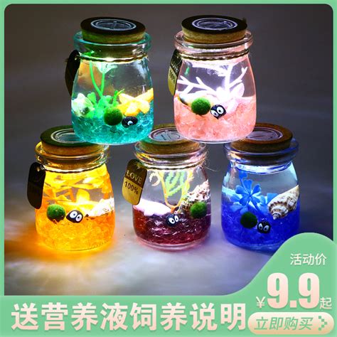 Marimo
