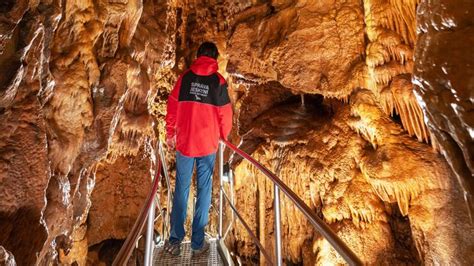 Žluna Versus žluva Enviweb