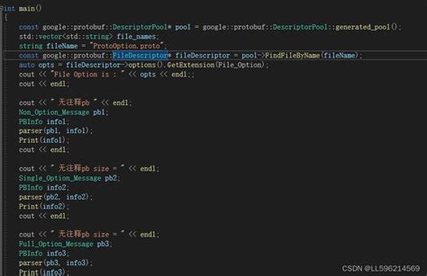 Protobuf 插件（option）使用proto Option Csdn博客