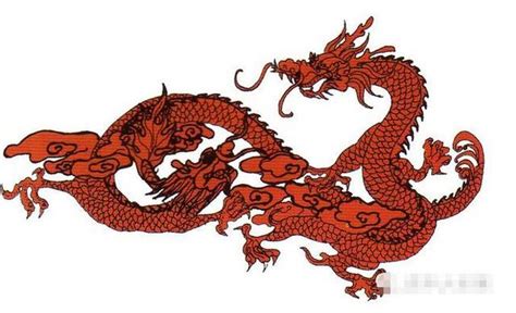 資中工業園區驚現不明生物傳聞是龍真相到底是什麼 每日頭條