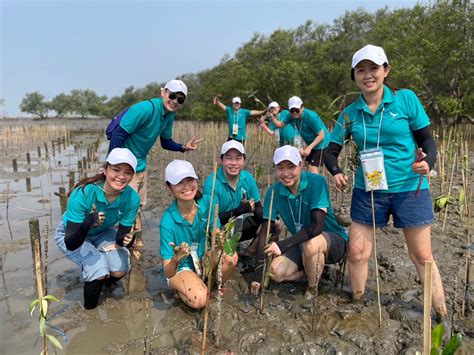 คาเธ่ย์ แปซิฟิค สานต่อโครงการ “บิน 1 เที่ยว ปลูก 1 ต้น” ร่วมปลูกป่าชาย