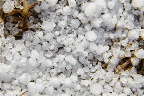 Snow Pellets Graupel Or Soft Hail On The Ground Form Of Precipitation Stock Image Image Of