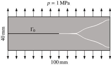 29 Geometry And Loading Conditions For The Dynamic Crack Branching