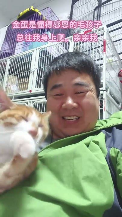 這毛孩子們最有靈性了，知道誰對他好！現在看到我就主動往我身上爬，盡管后腿還是拖著，有一條腿可以使上一點勁兒了！只要堅持就有奇跡流浪貓救助